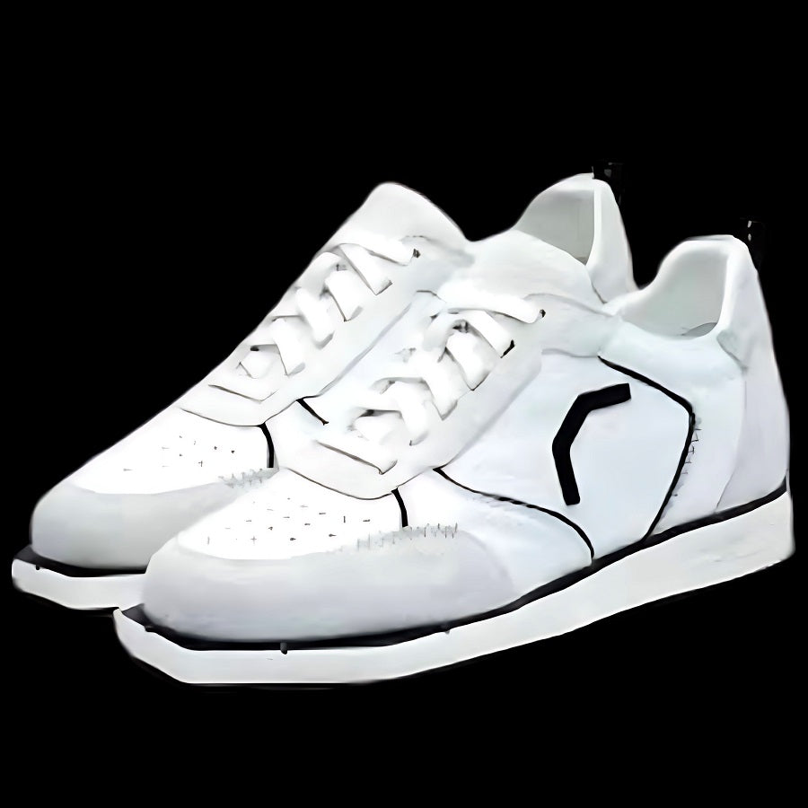 Collections – DartAsylum